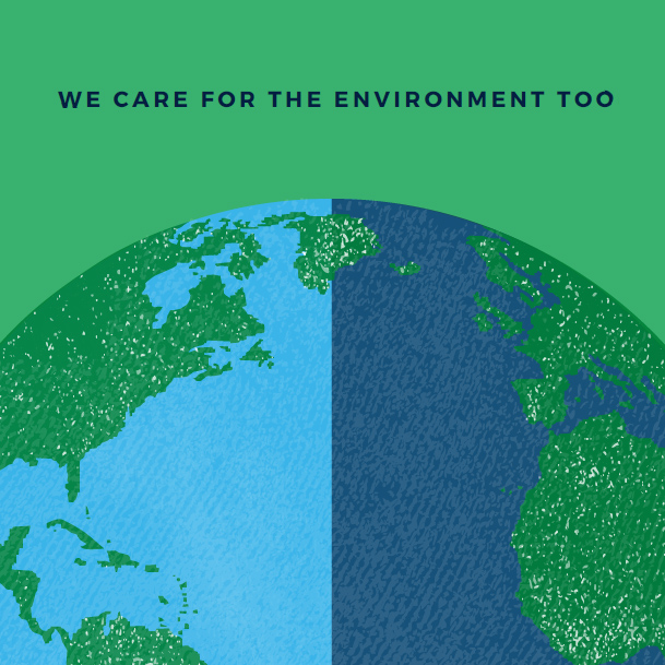 Looking after the environment - St Martins